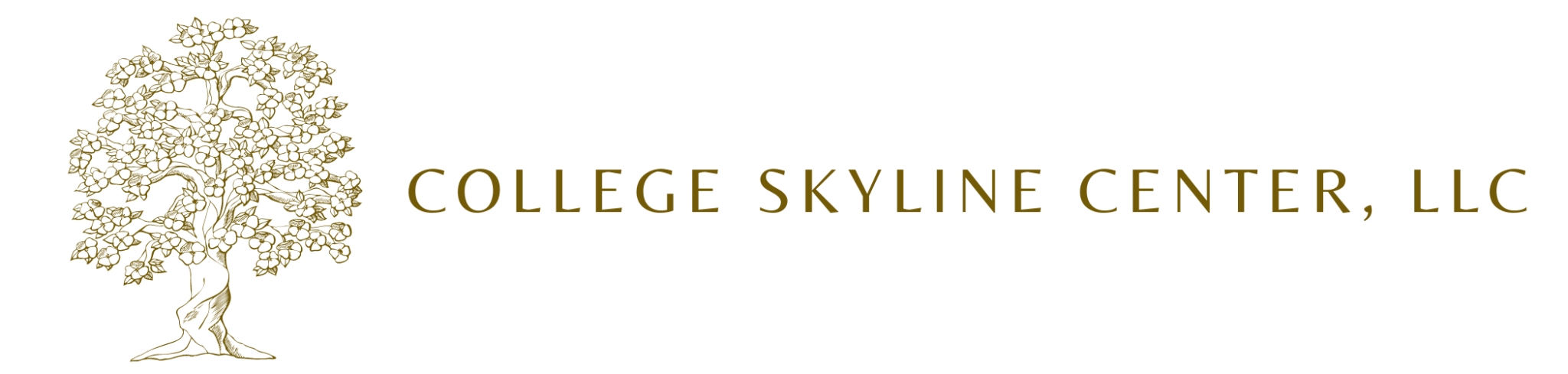 College Skyline Center, LLC